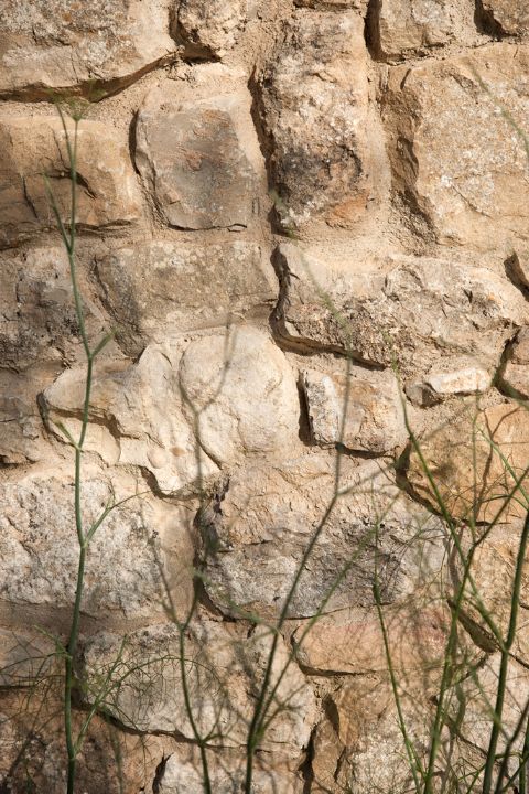 Why the architectural wonder of skin can become dry skin and why dr...