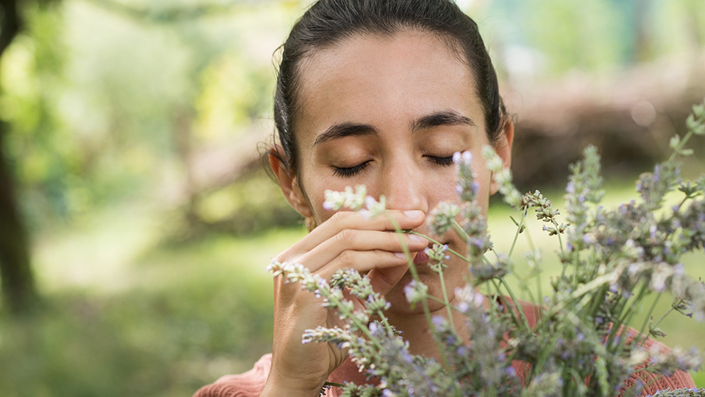 Humans and plants are equipped with a sensitive sense of smell, Wel...