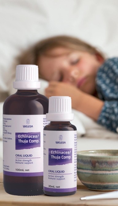 Echinacea/Thuja Comp., 30ml - Immune support to build resistence